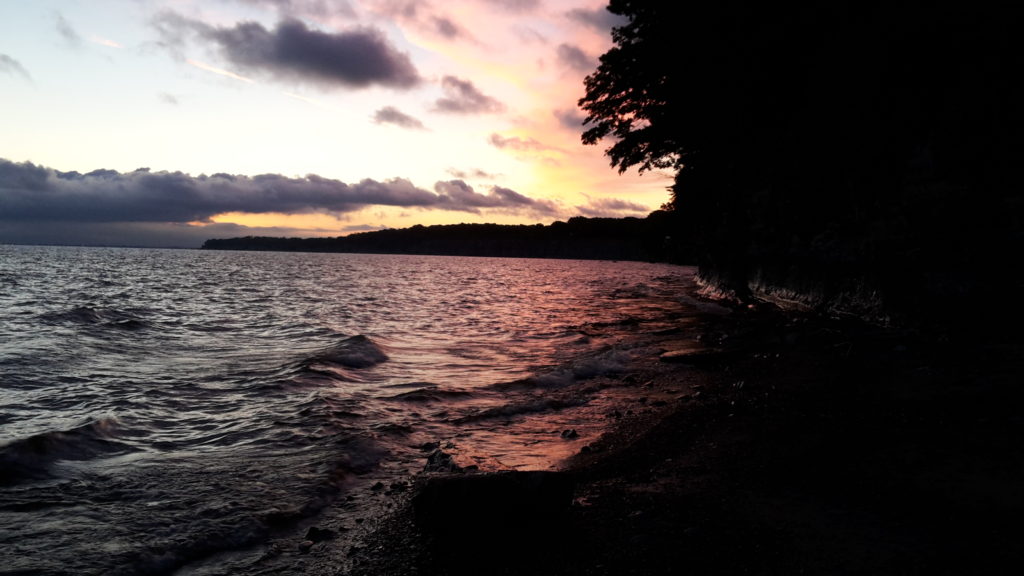 It Bit Me on the Rocks of Lake Erie – Moxie Gardiner